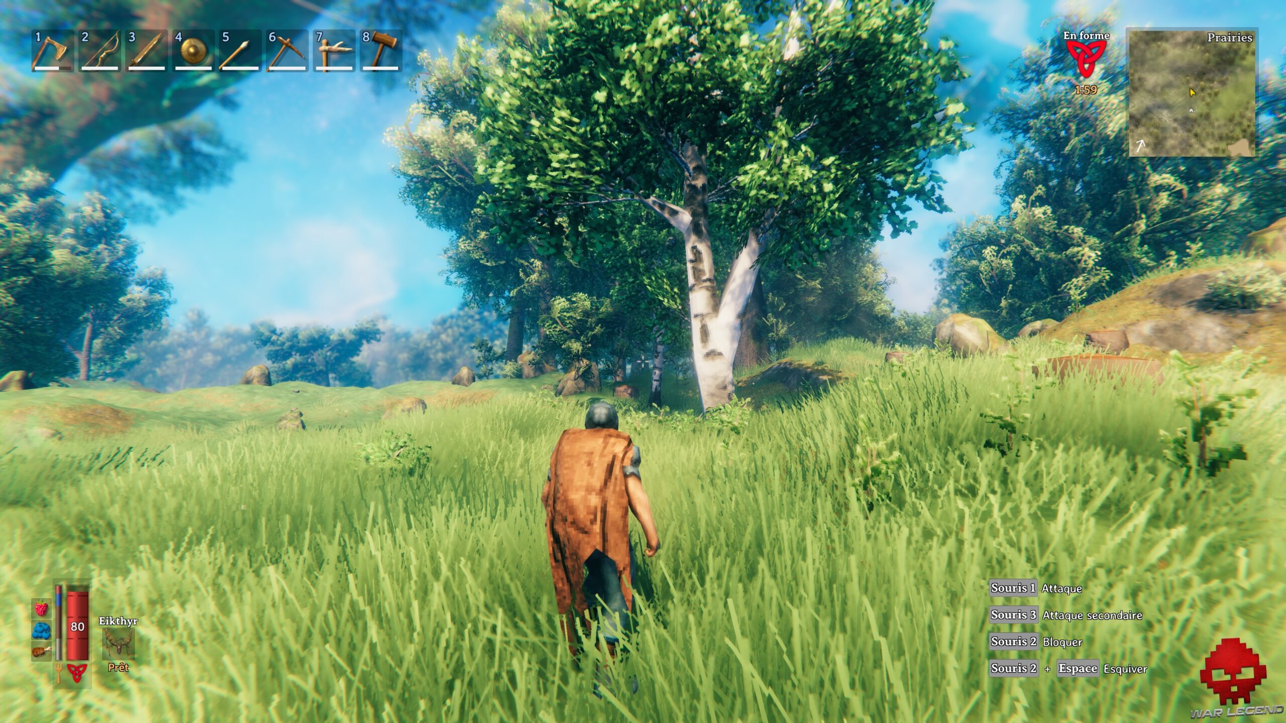 Guide Valheim - Récupérer du bois robuste et du bois précieux