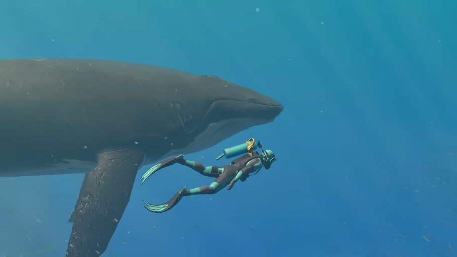 Endless Ocean: Luminous takes stock - GAMINGDEPUTY