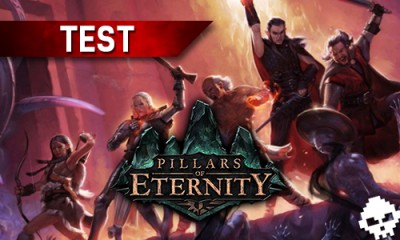 [Test] Pillars of Eternity