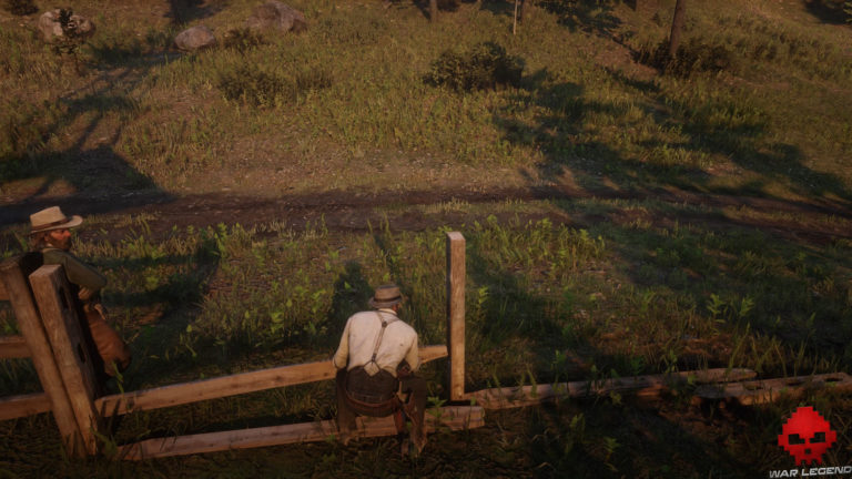 Soluce Red Dead Redemption 2 - Petit guide du fermier débutant
